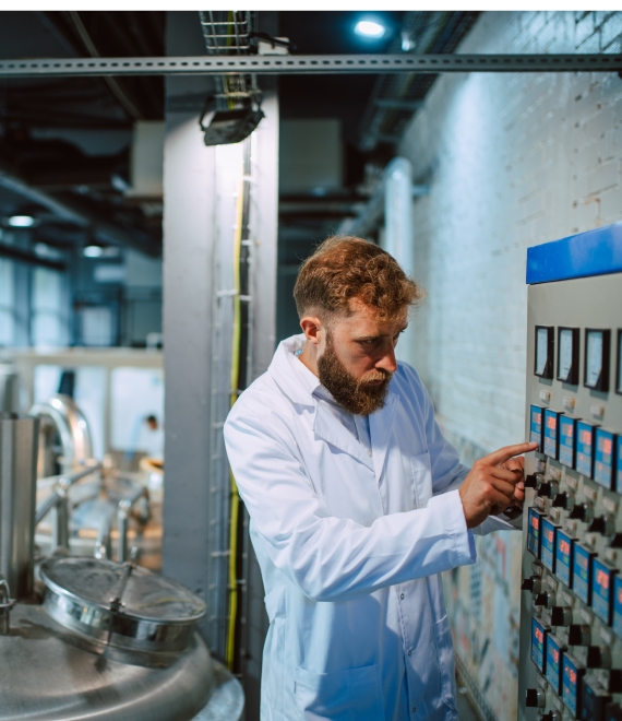 Express Food Machinery - Our Services